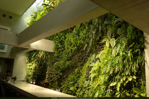 Art and Architecture: Amazing Vertical Gardens Designed by Patrick Blanc