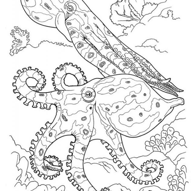 Realistic Coloring Pages ~ Coloring Pages