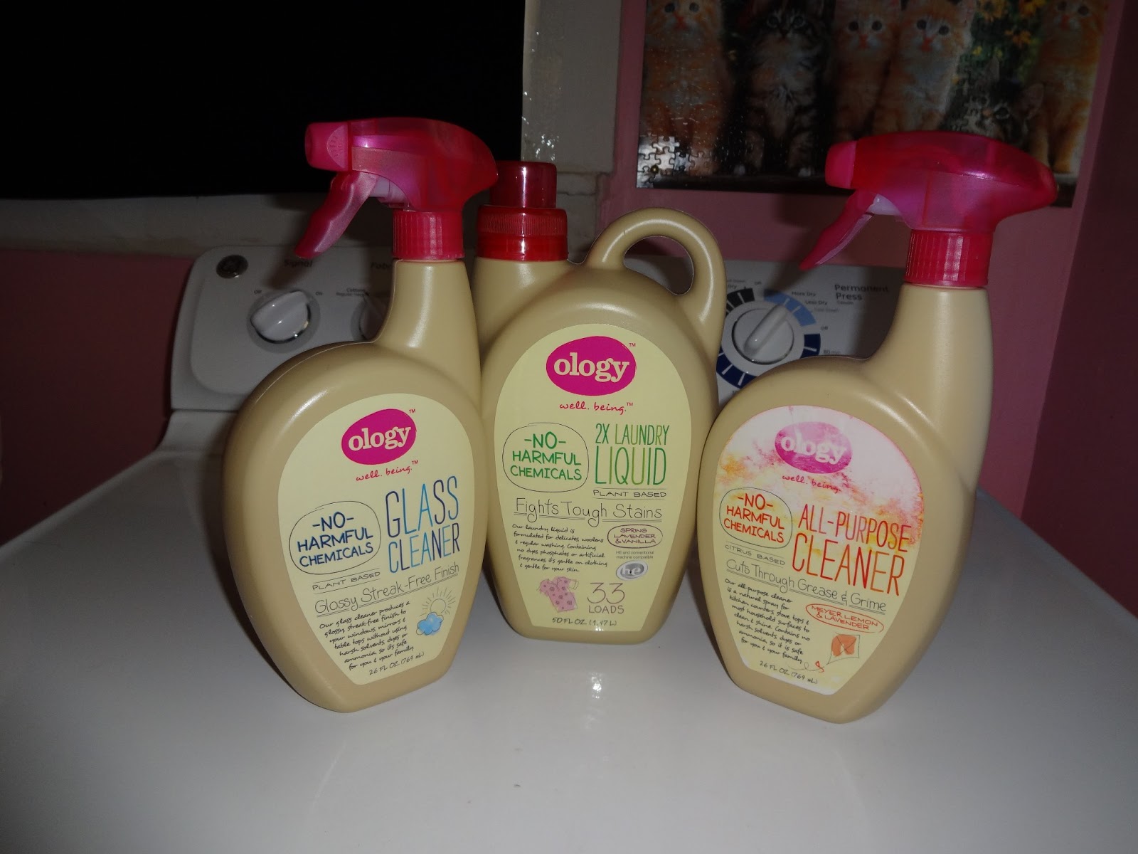 My Empty Nest: Ology