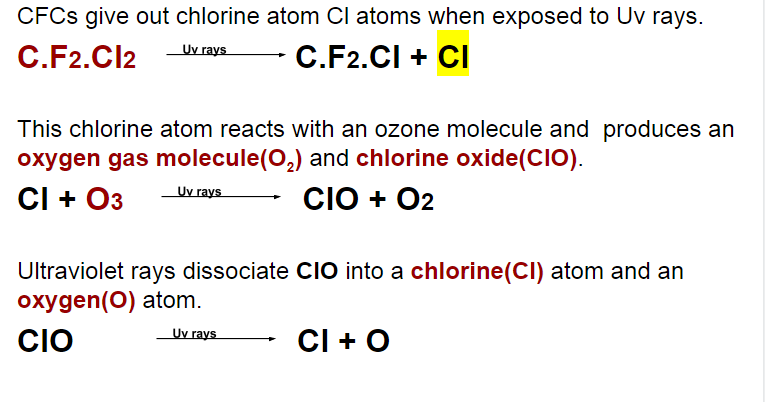 How is ozone layer depleted by chlorofluorocarbons (CFCs) ? Describe ...