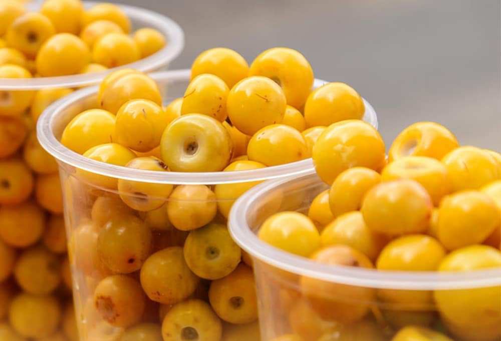 Nanches o Changungas - Historia y sabor