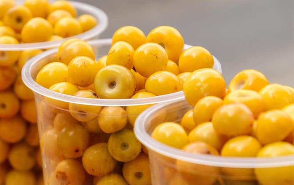 Nanches o Changungas - Historia y sabor