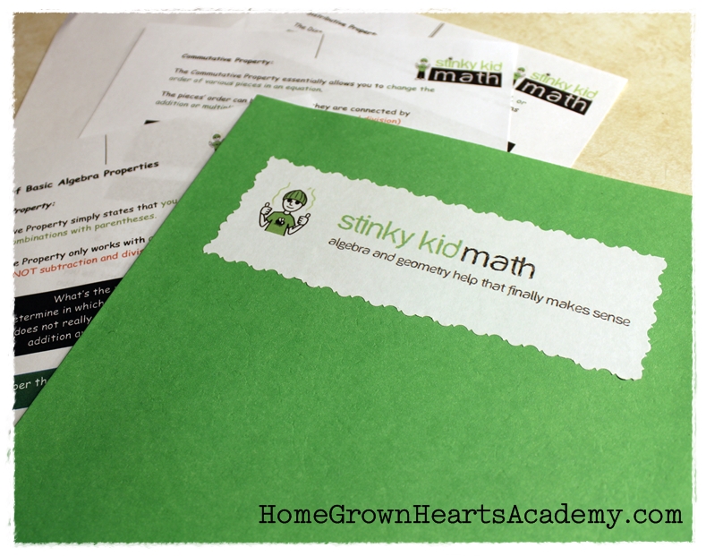 Home Grown Hearts Academy Homeschool Blog: Stinky Kid Math REVIEW