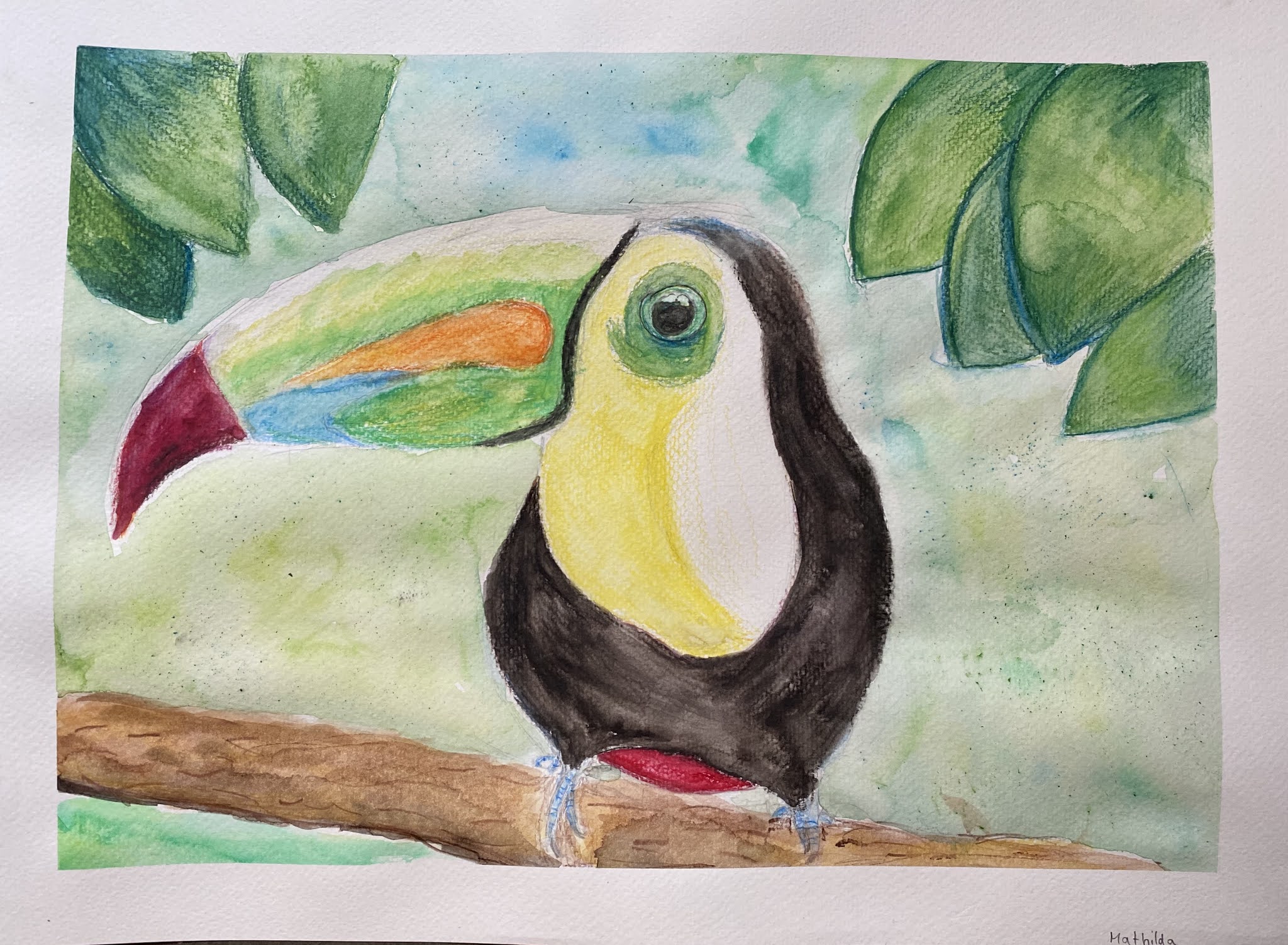 Art Room Britt: Toucans in Watercolor Pencil