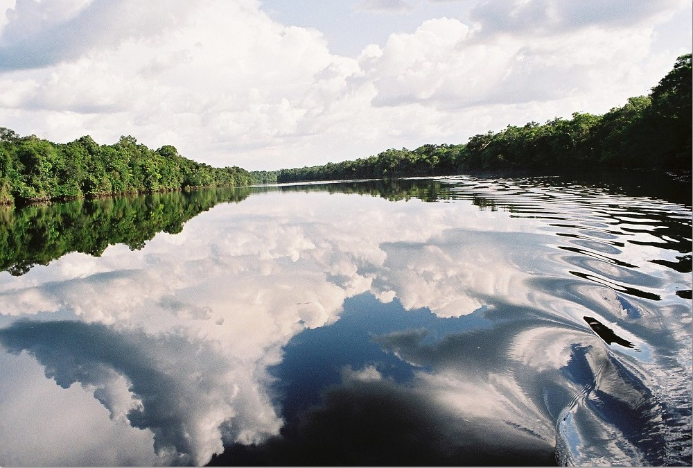 Parque Nacional do Jaú - Amazonas