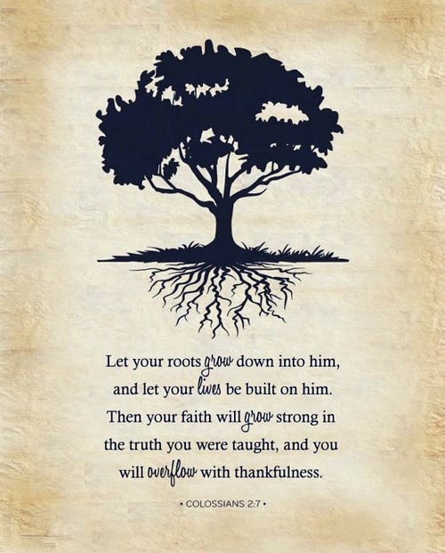 Suddenly Southern : Starting With A Firm Foundation