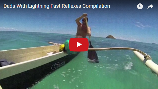 MFS VIRAL VIDS-2: Dads With Lightning Fast Reflexes Compilation