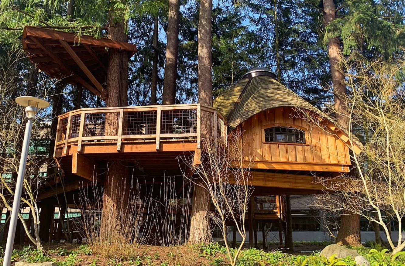 In the current branch...: Microsoft Redmond Campus