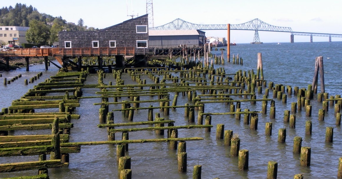 French Vocabulary Illustrated: pieu