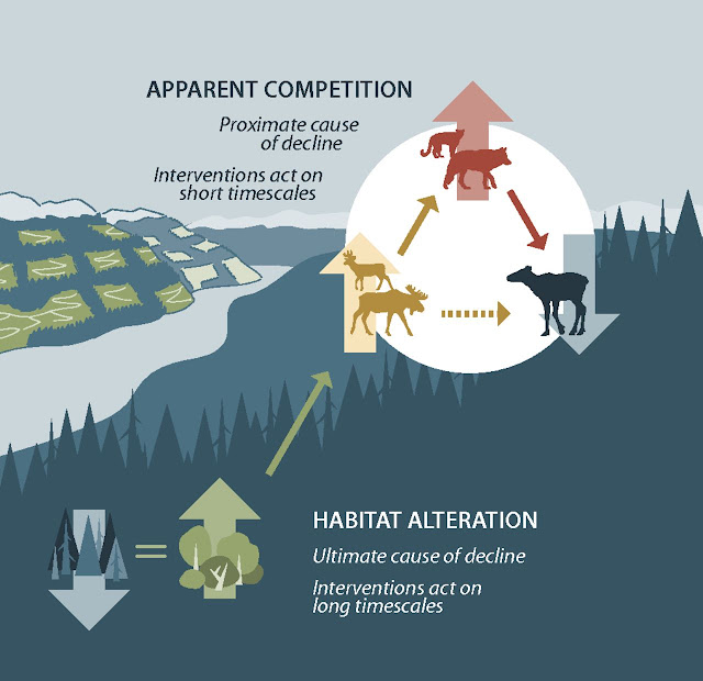 Vancouver Hunter: Paper: Saving Endangered Species Using Adaptive ...