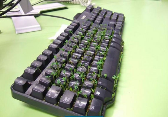 "LiFe InSpiRaTioN": KeYBoaRd YaNg UniK DaN KreaTiF