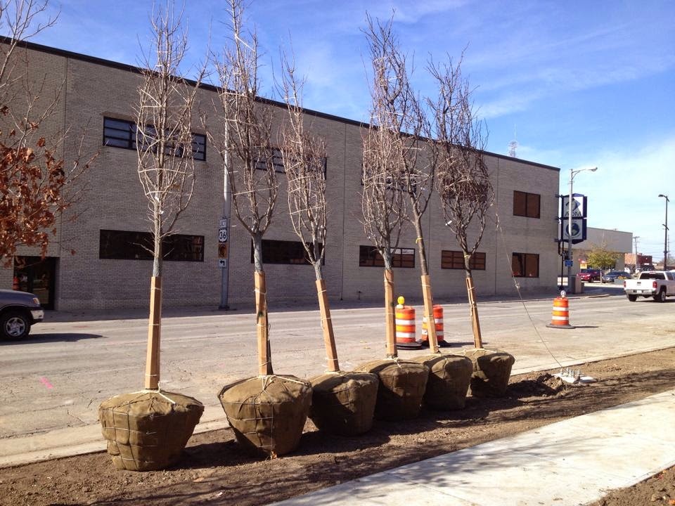 Out and About Decatur #6