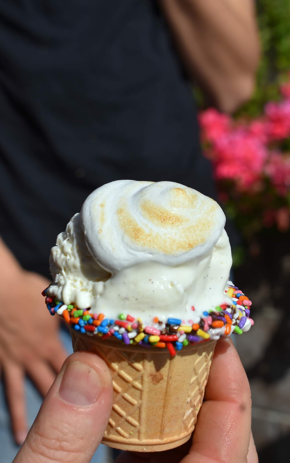 Toasted Marshmallow Fluff for a Fluffy Beach Read #FoodieReads