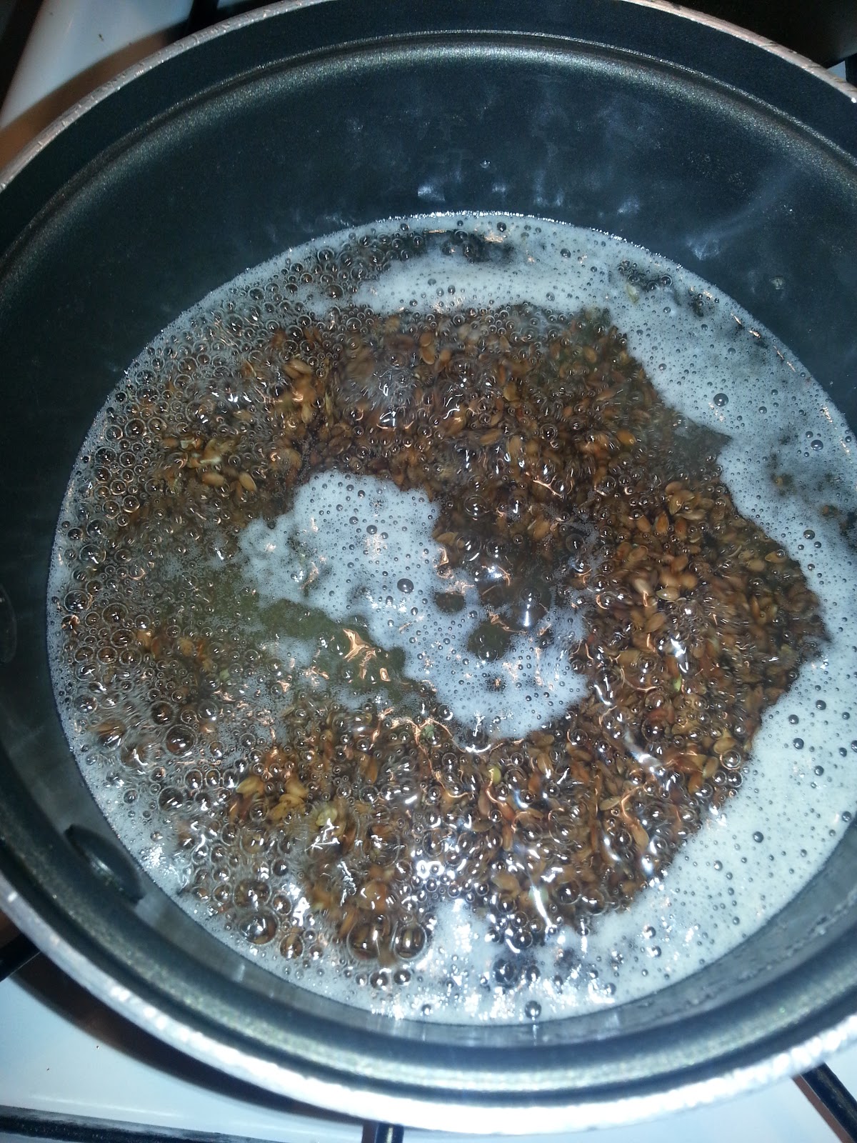 2nd Time Around: DIY Flax Seed Gel | The Mane Objective