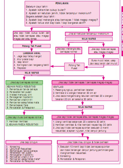 PERAWATAN NEONATAL ESENSIAL PADA SAAT LAHIR