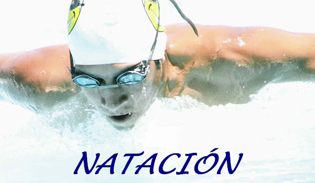 Natación : Natación:La natación es el movimiento y/o desplazamiento a ...