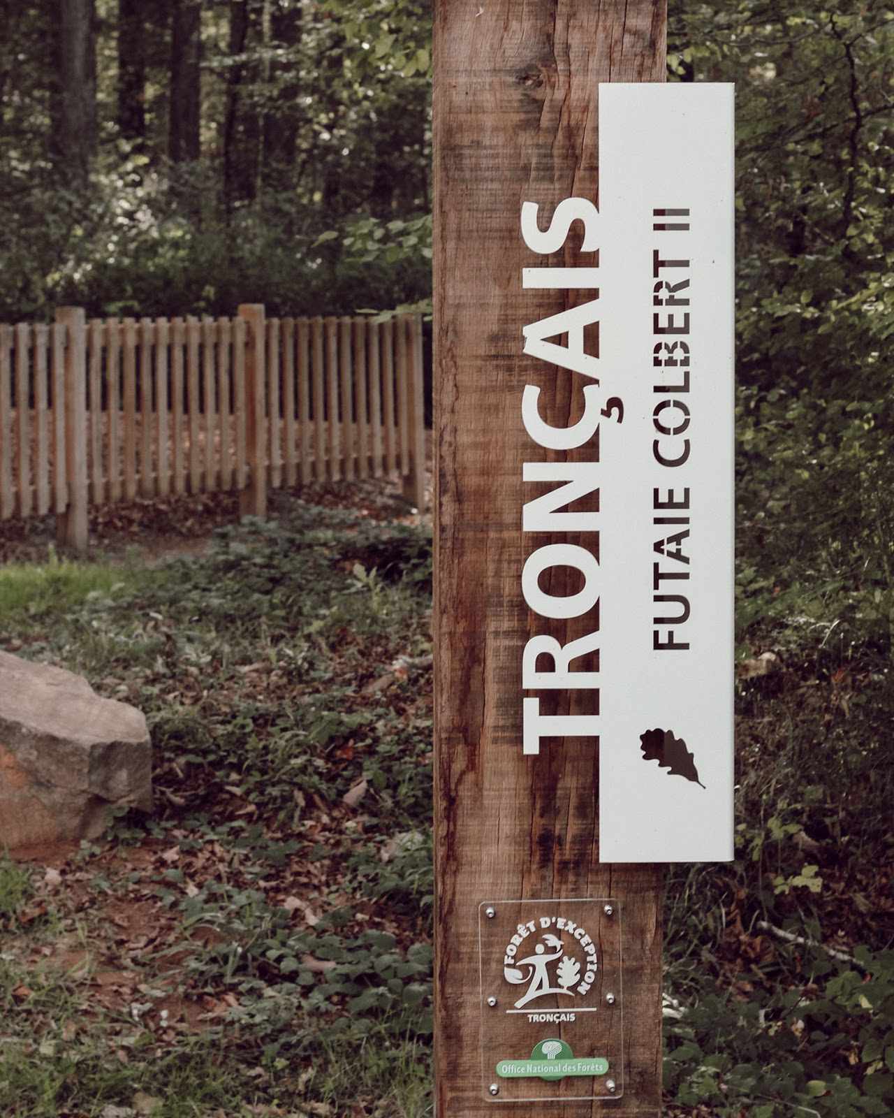 Sentier pédagogique pour découvrir la Futaie Colbert II en Forêt de ...