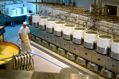 The Swiss Chocolate Train (Part 2) - Gruyère Cheese Factory