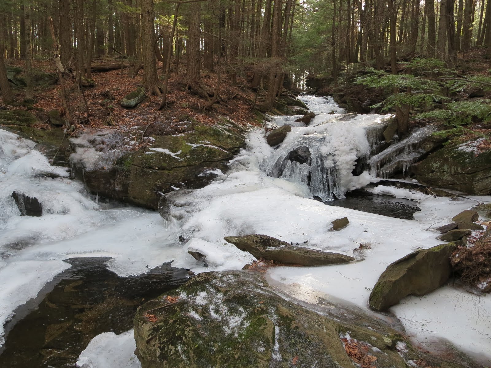 Valhallaoven's Travel log: Tyringham Cobble & McLennan Reservation