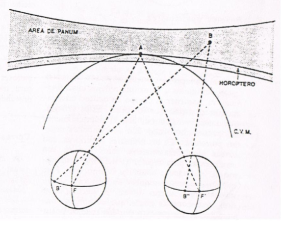 Cátedra N° 03 - Vía visual