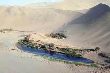 DISCOVERED IN A DESERT PLACE: OASIS!