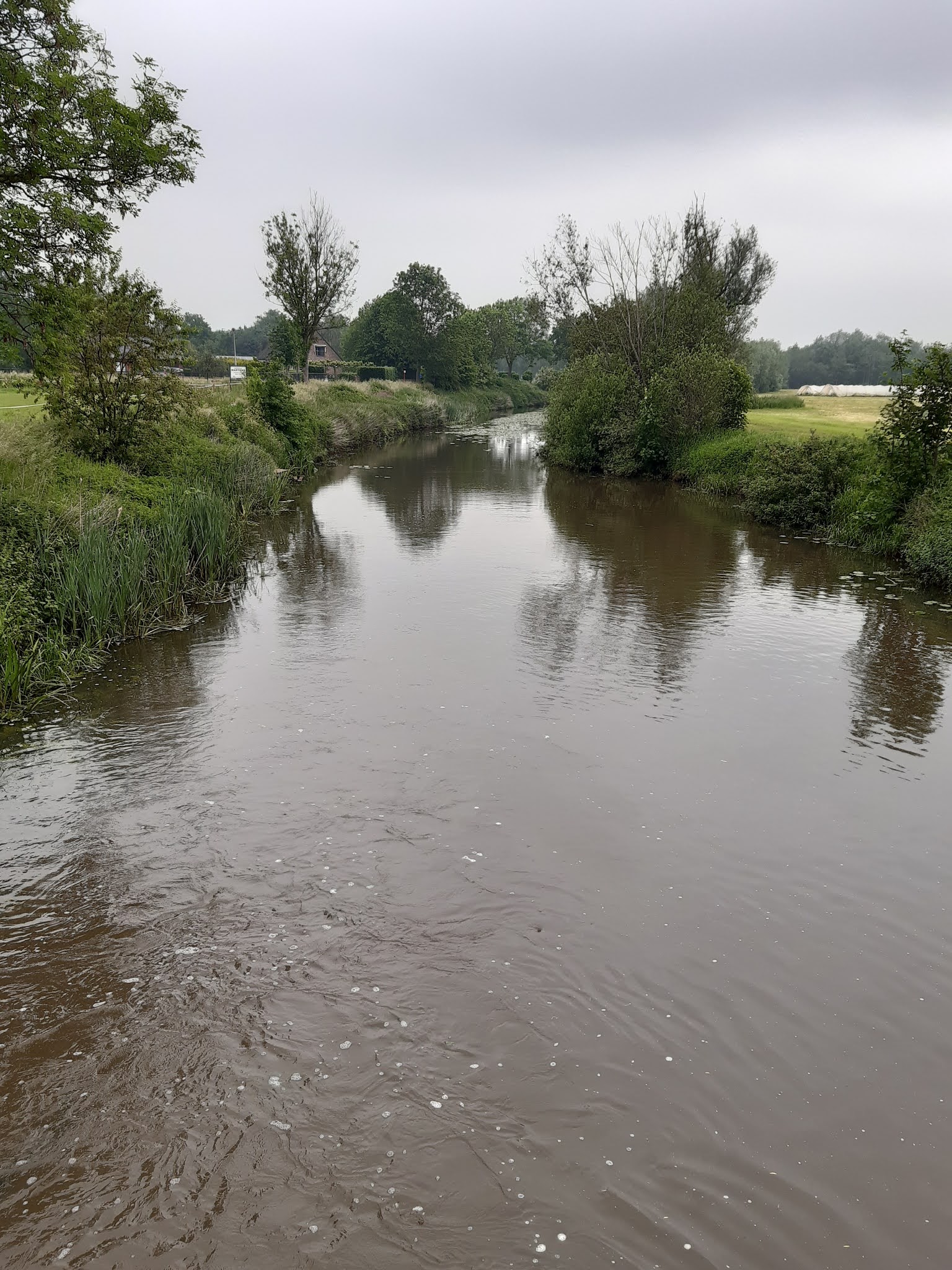 Walking Jeff: wandeling 2328 Meersel Dreef- Hoogstraten 18,5 km.
