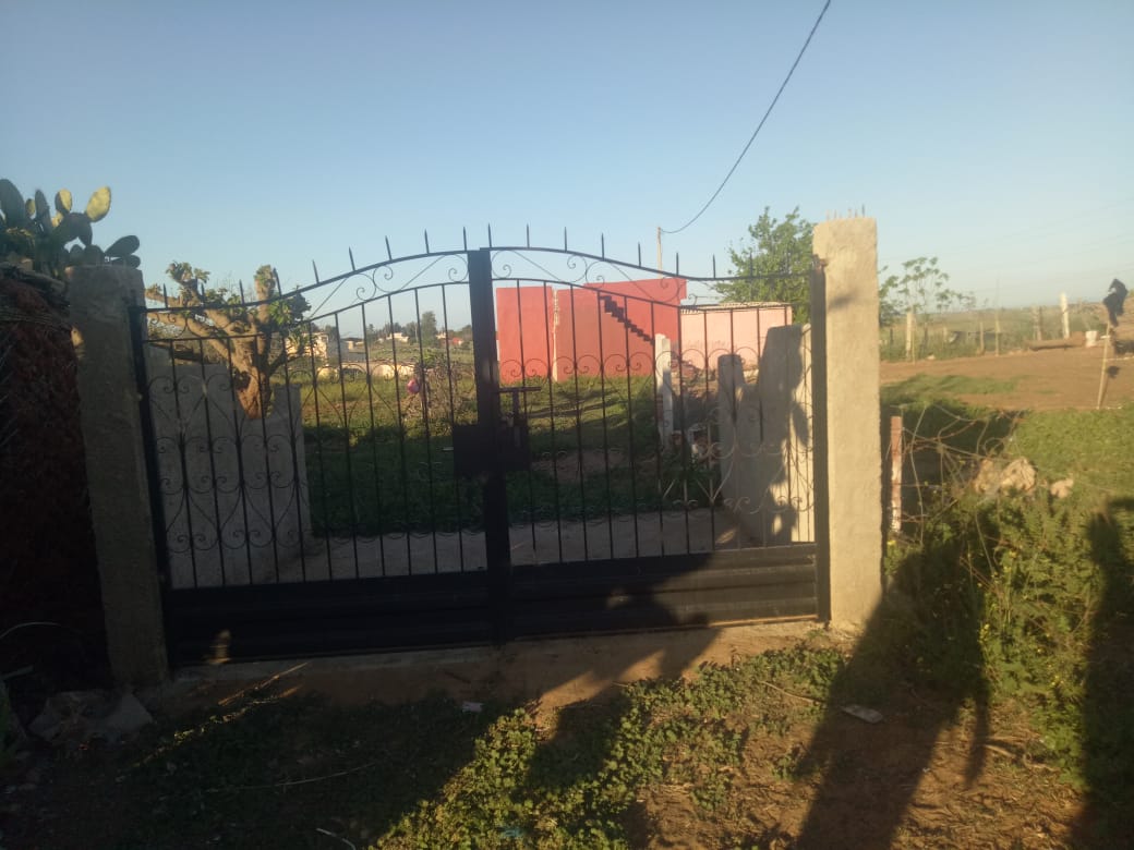 1000 m² a sidi abderrazak a vendre