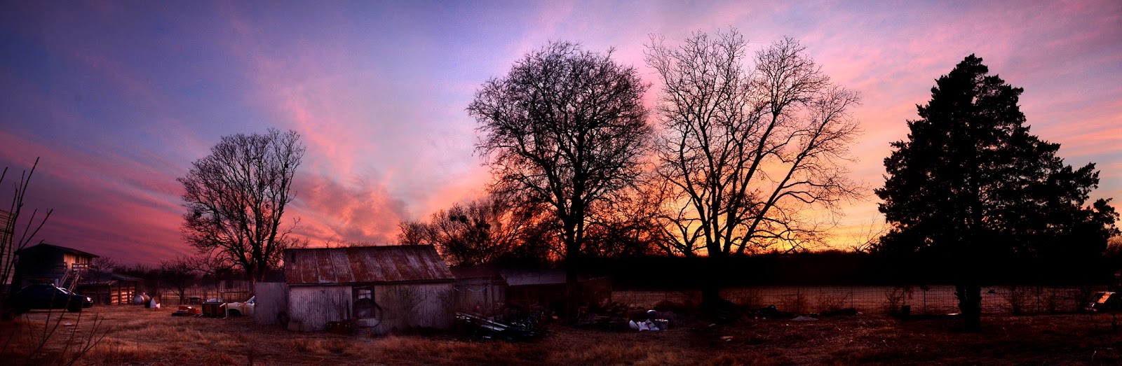 Keehn Photography: from death, comes life