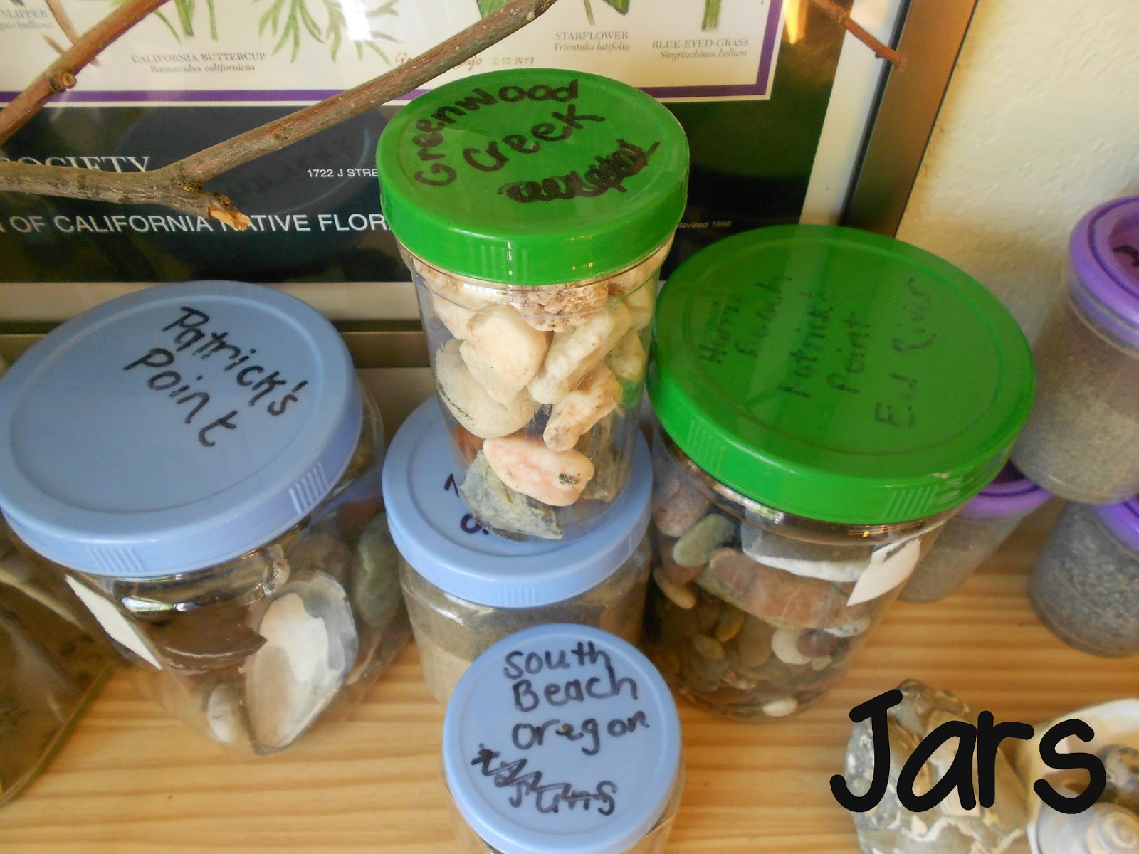 Handbook of Nature Study: Top 5 Ways to Display Rock Collections