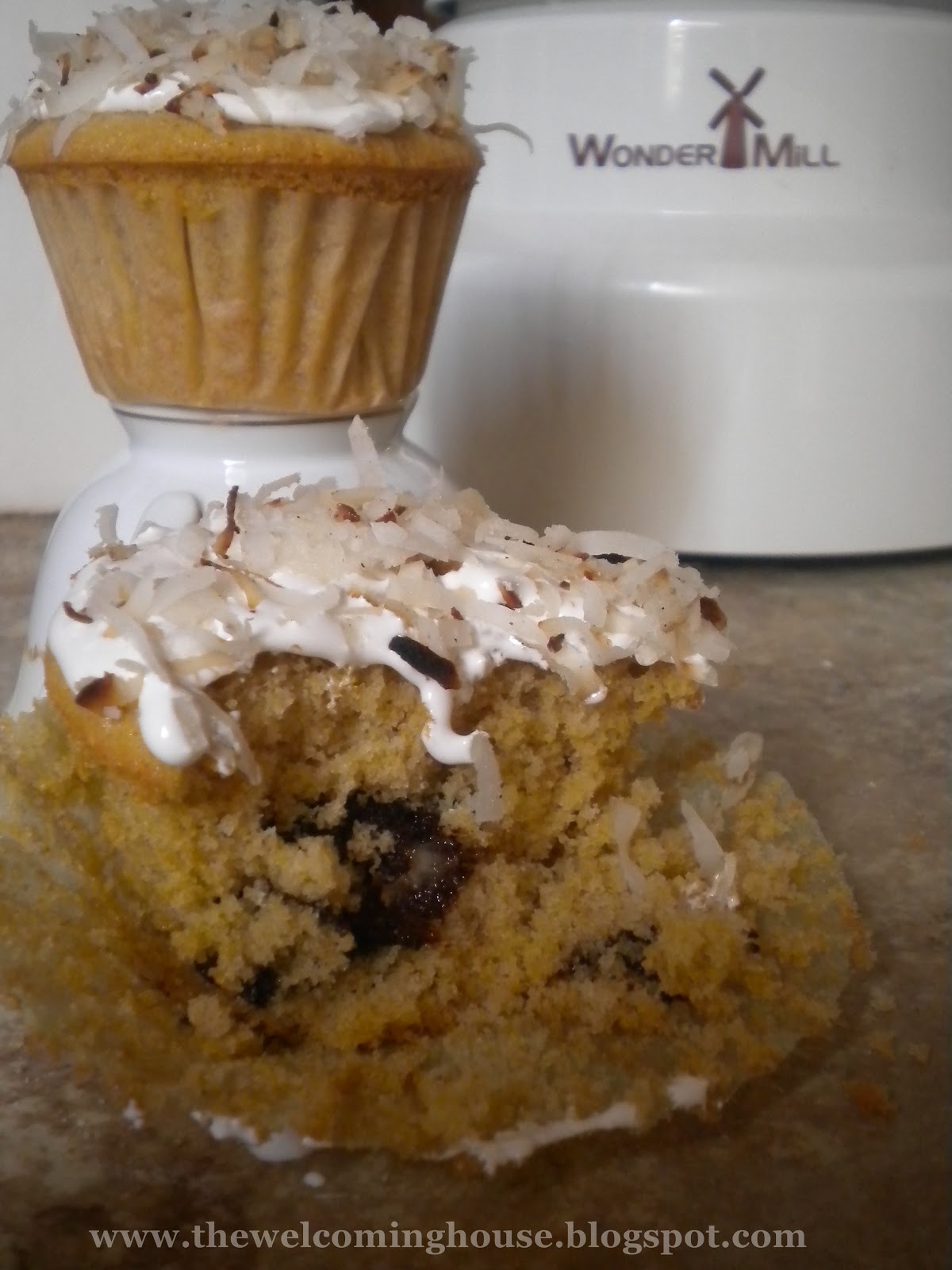 Is the WonderMill Wonderful, or......not? A review between the ...