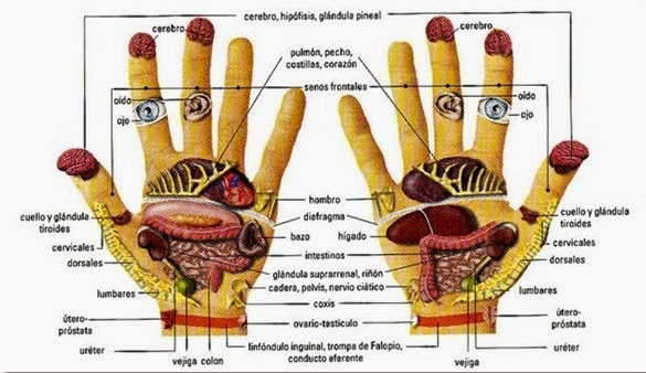 Terapias Manuales Generales