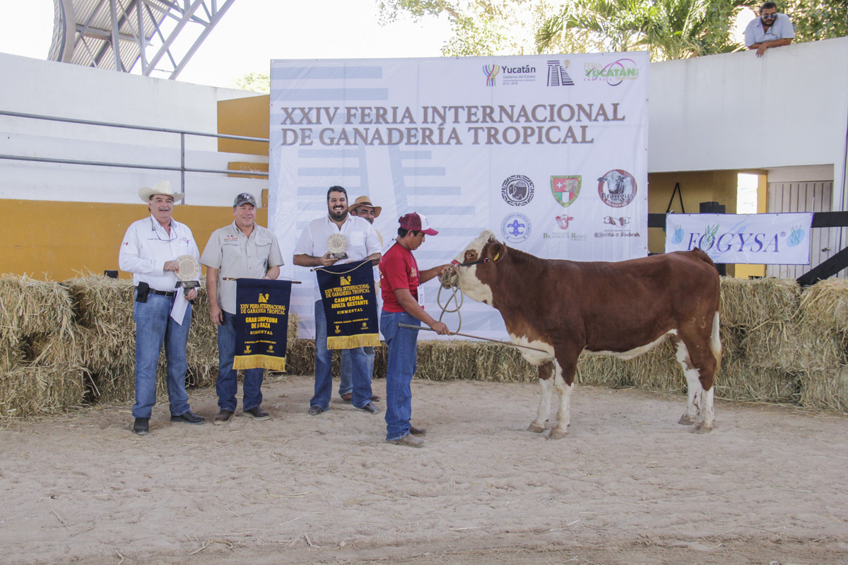 EL AWECH DE LA NOTICIA YUCATÁN: Ranchos de Tizimín se llevan los ...