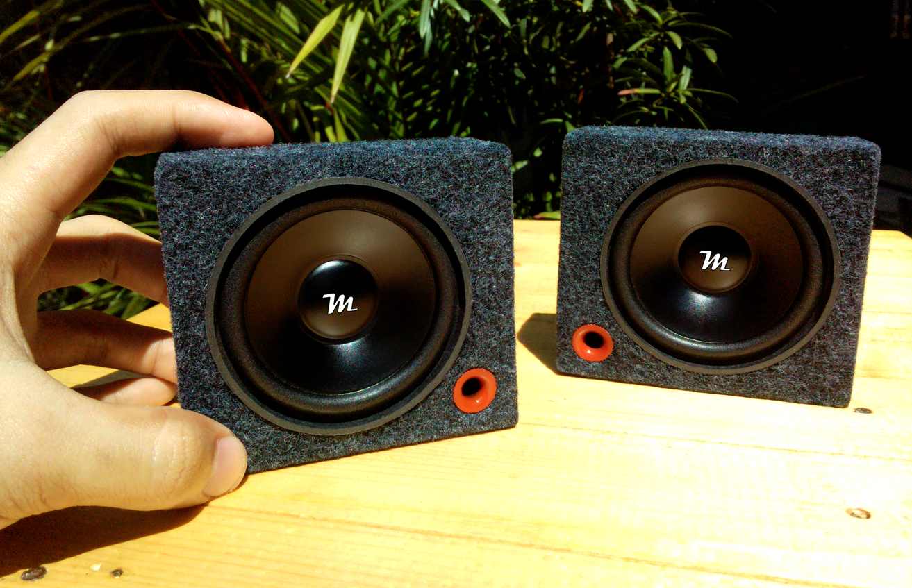 DIY Mini Subwoofer: Amazing Twin Mini Subwoofer Box