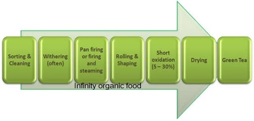 What actually Green Tea is?