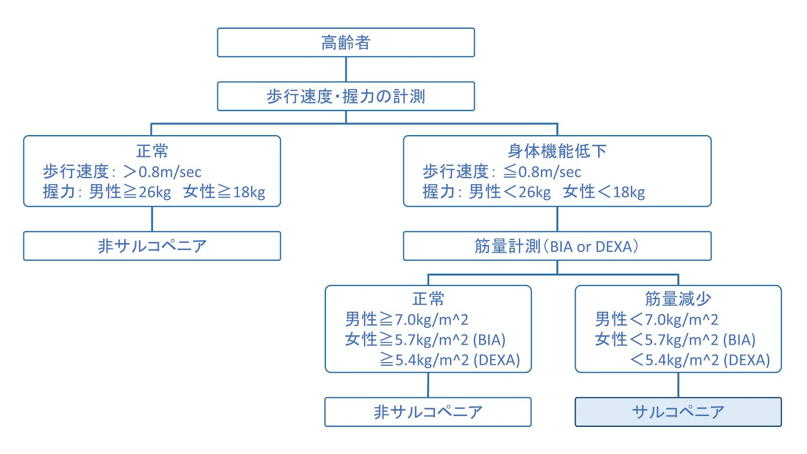AWGS2019によるサルコペニア診断基準の改定