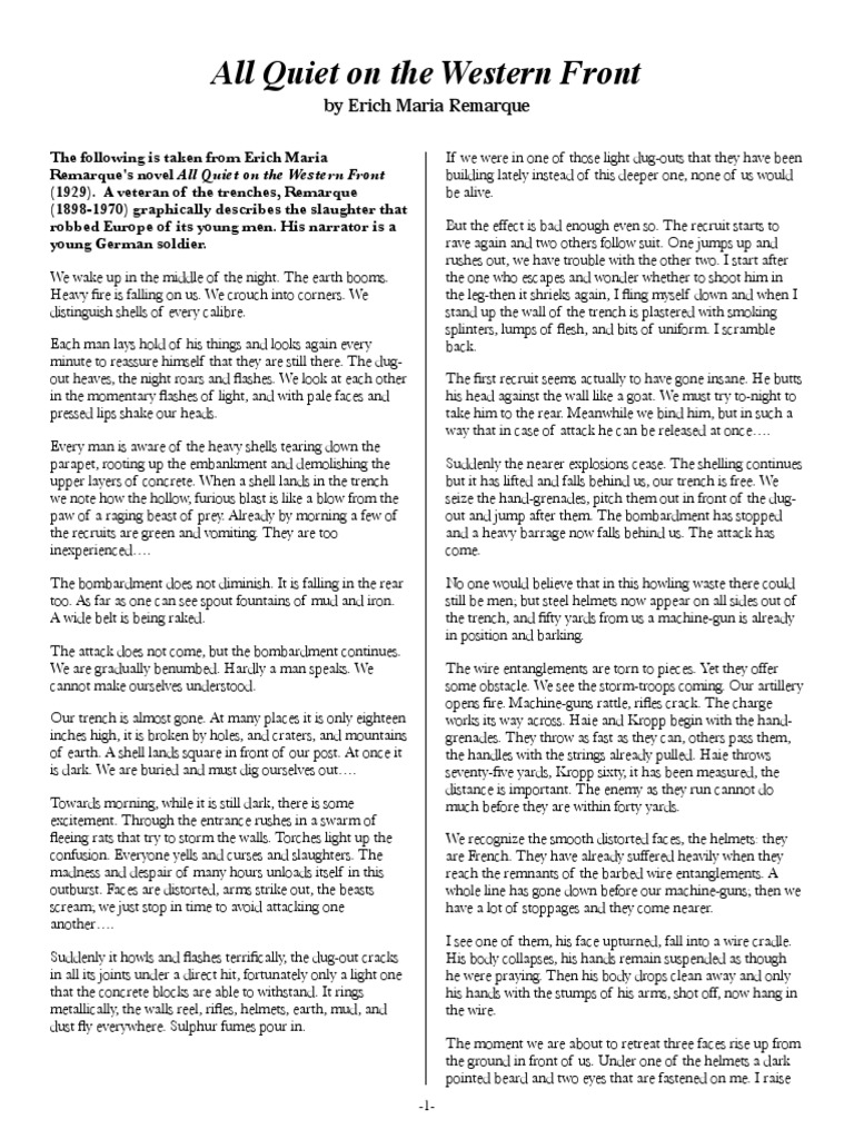 essay examples: All Quiet On The Western Front Essay