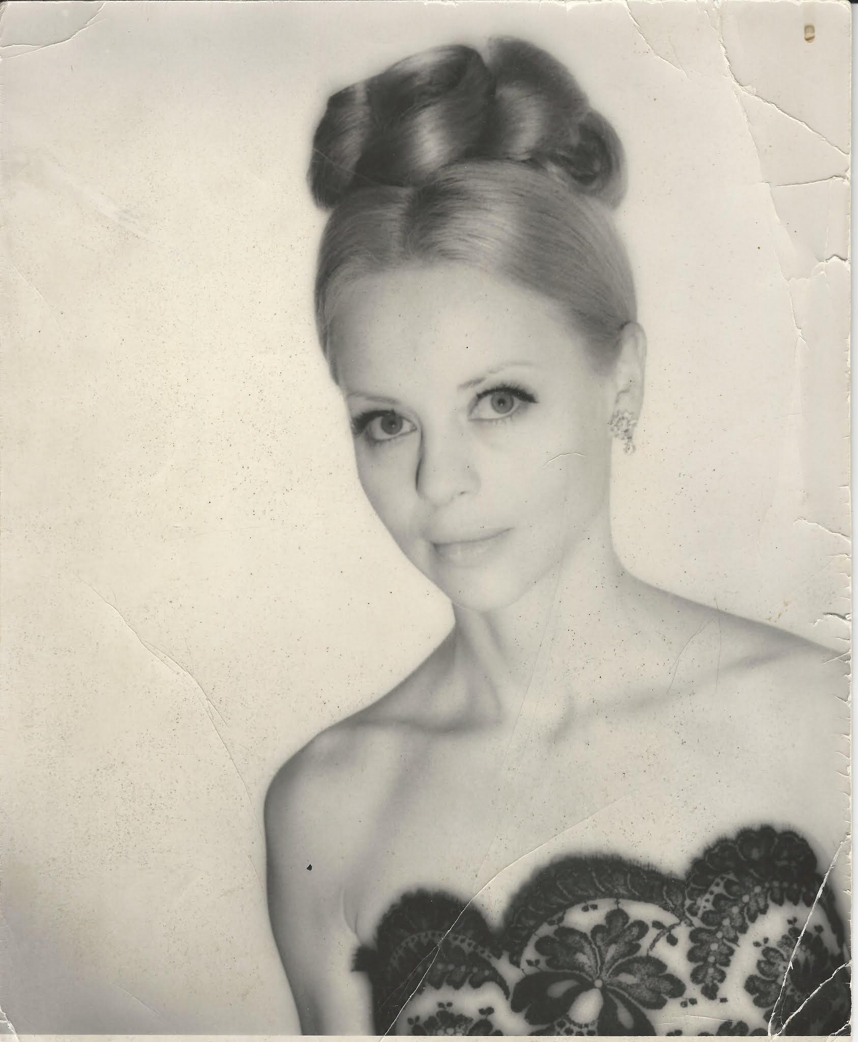 The Curator's Cabinet