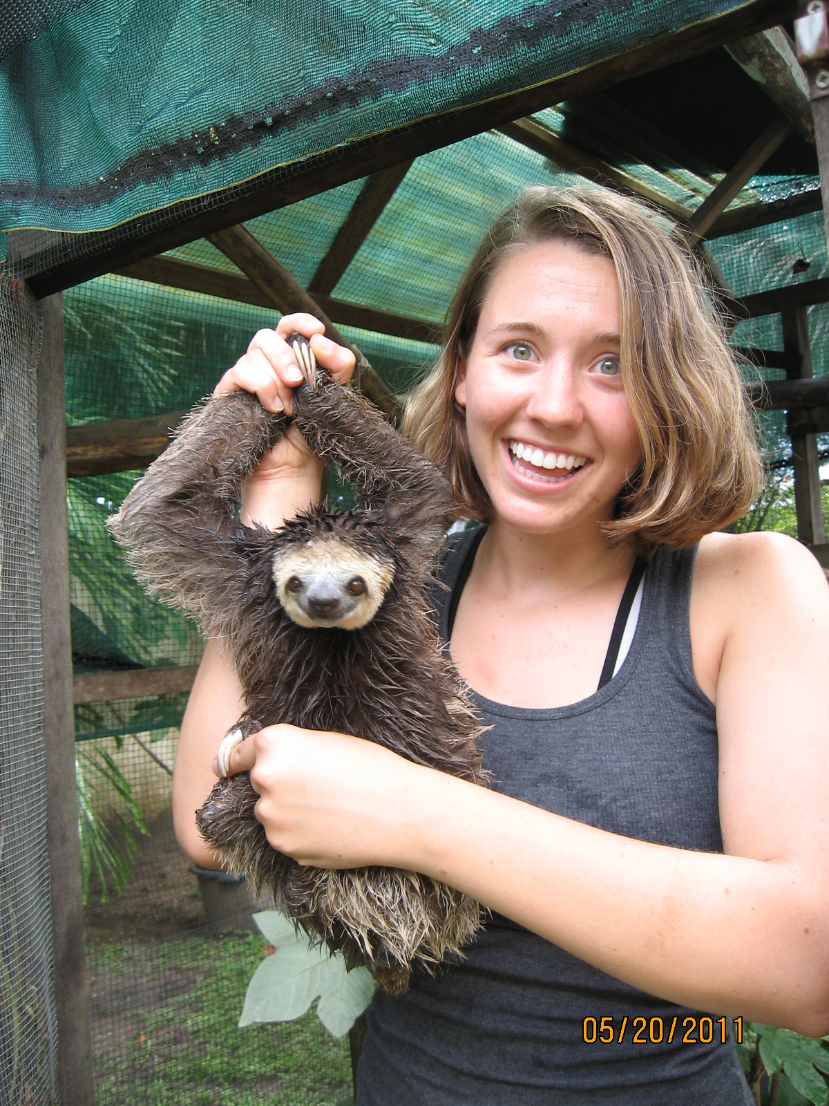 Suriname: Wet sloths!