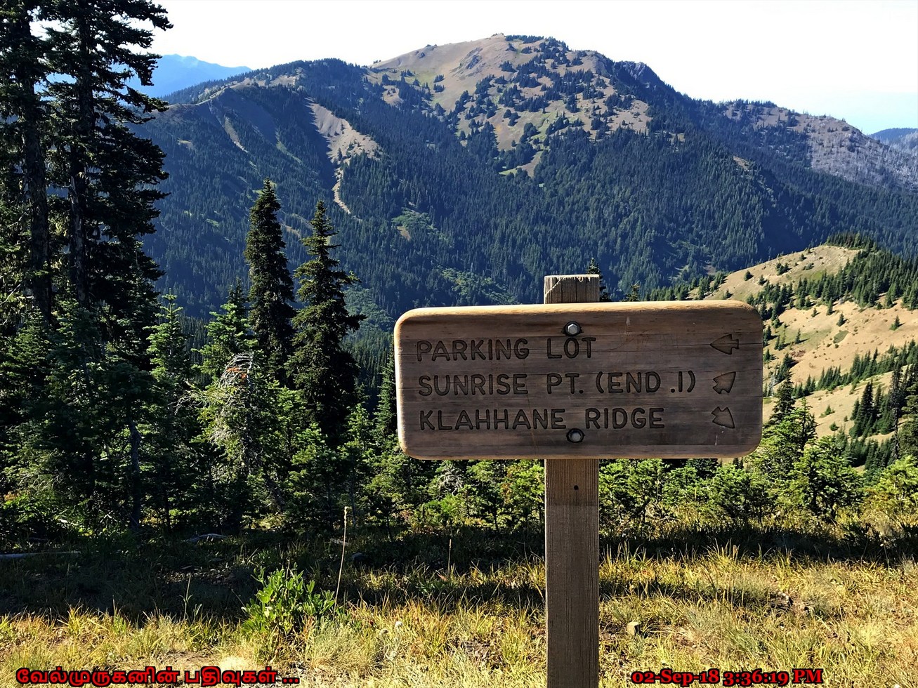 Sunrise Point Trail Mount Angeles - Exploring My Life