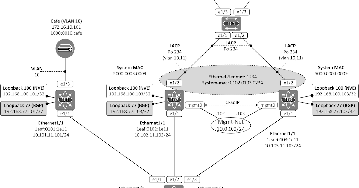 The Network Times: EVPN ESI Multihoming - Part I: EVPN Ethernet Segment ...