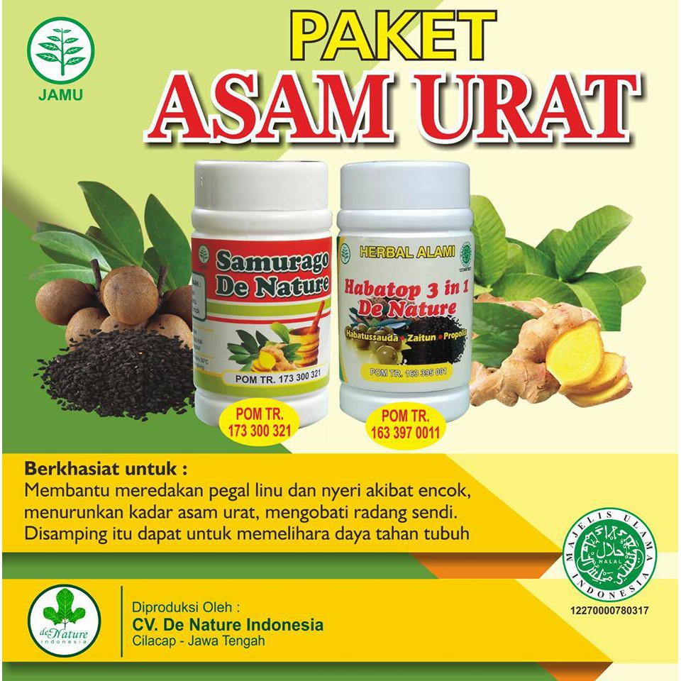OBAT HERBAL UNTUK MENGOBATI ASAM URAT DAN NYERI SENDI