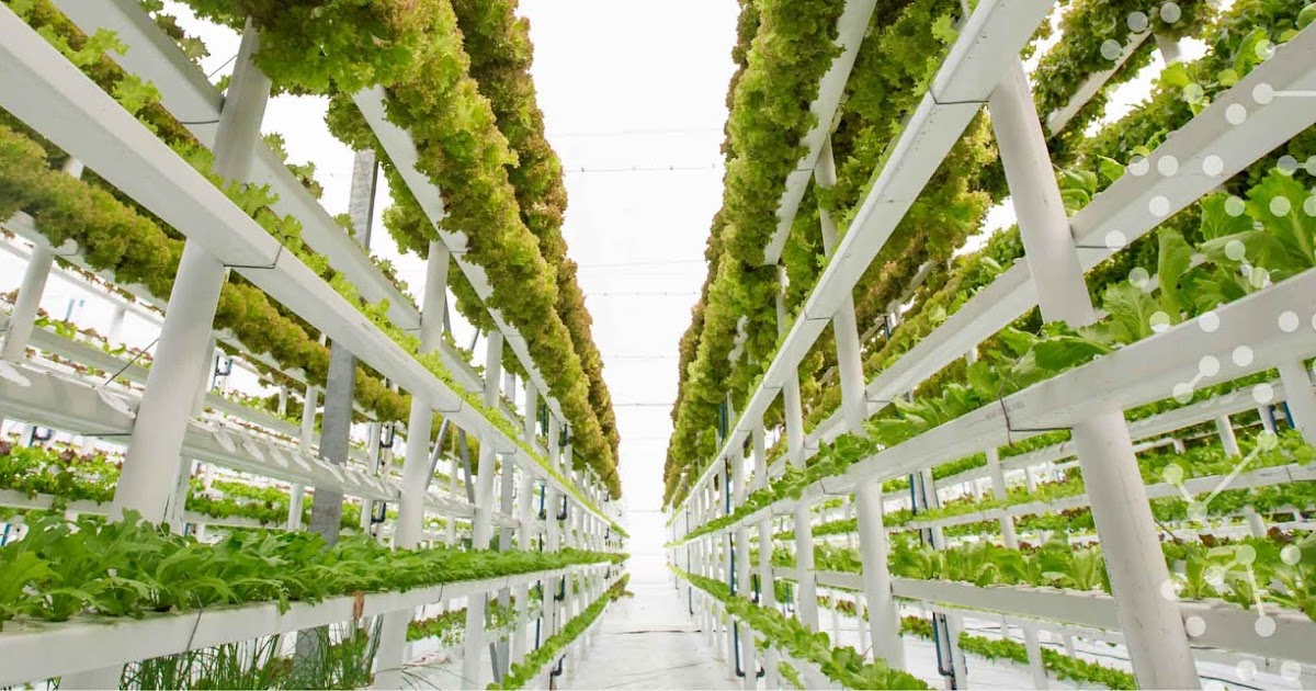 Vertical Farming - Agri for All