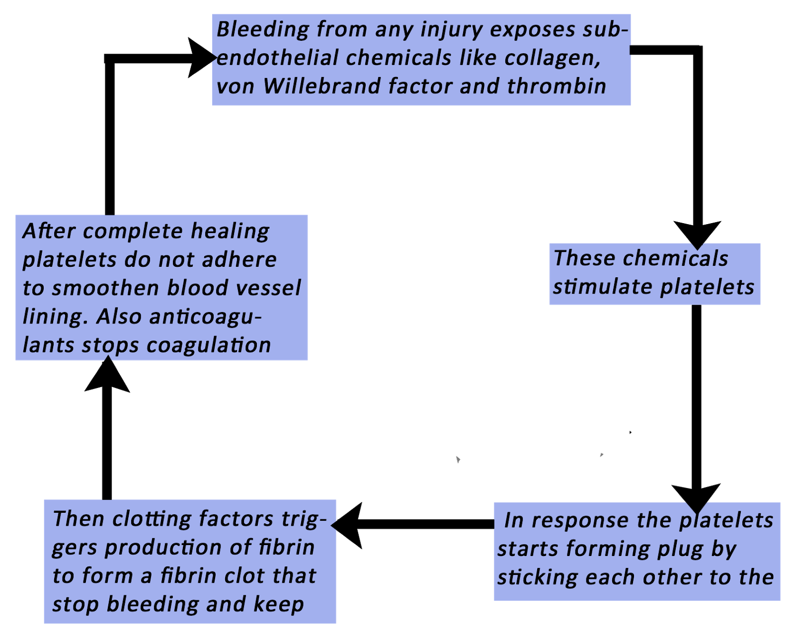 Homeostasis | Short notes