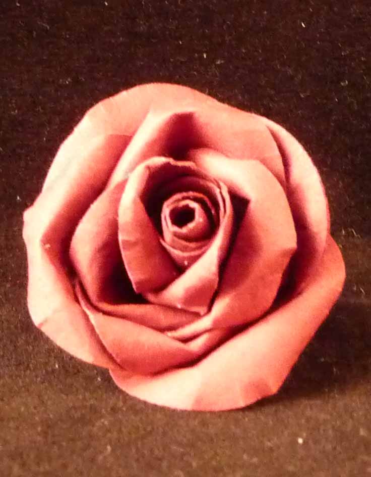 Paper Compulsions: Roses made from circles