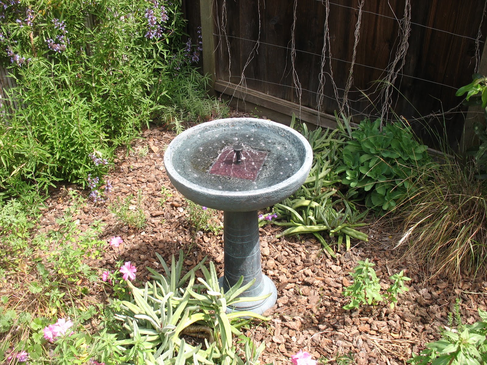 netzerolife: Solar Fountains