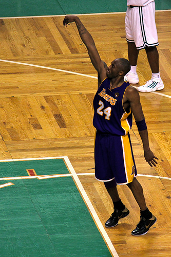 The Dominant Basketball Shooter: Shooting Mechanics: Finishing the Shot