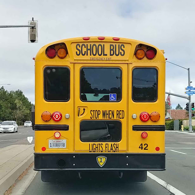 미국 차량의 번호판