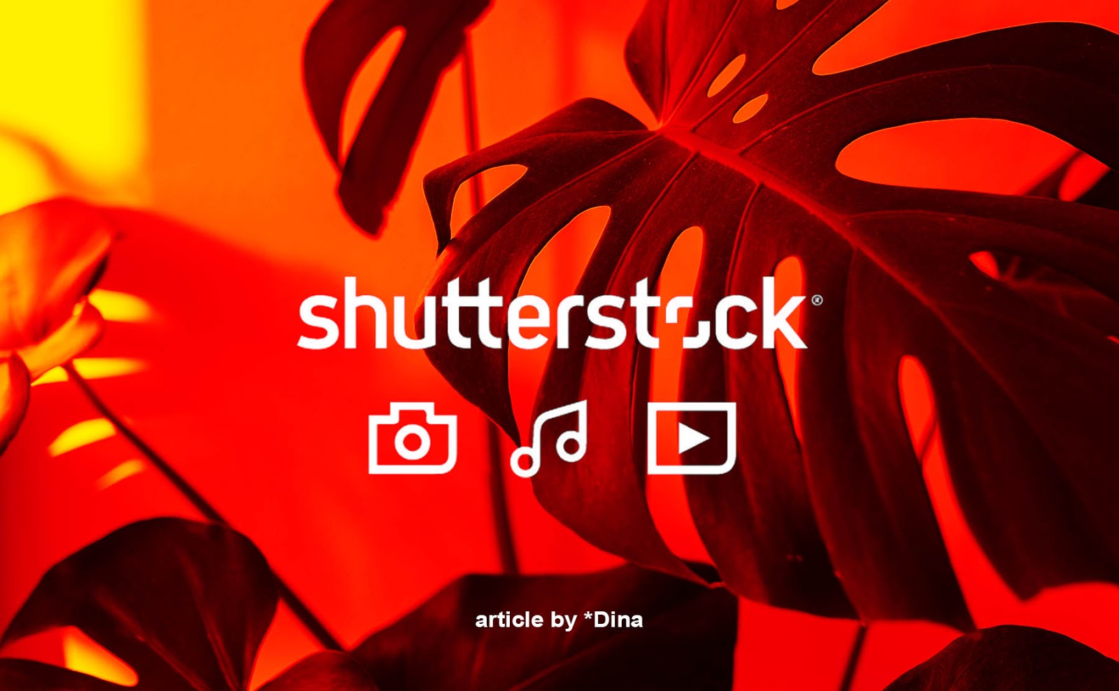 Tips to Sell Photos at Shutterstock