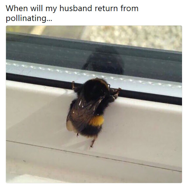 Randomly Choose Funny Memes of The Day (33 Pics) | 9GIG