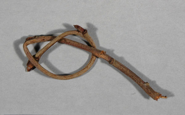 Small Blessings: A Loop of Rowan Tree: amulets against witchcraft